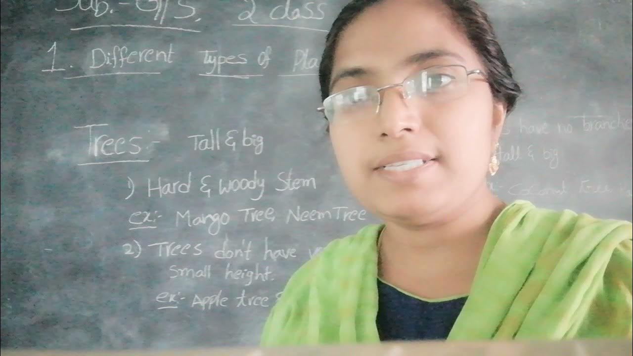 Different Types Of Plants YouTube different-types-of-plants-youtube