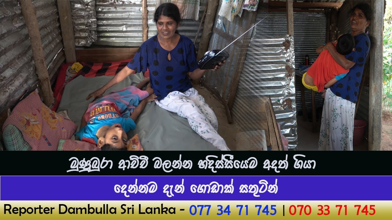 මුණුබුරා ආච්චී බලන්න හදිස්සීයෙම අදත් ගියා || REPORTER Dambulla ...