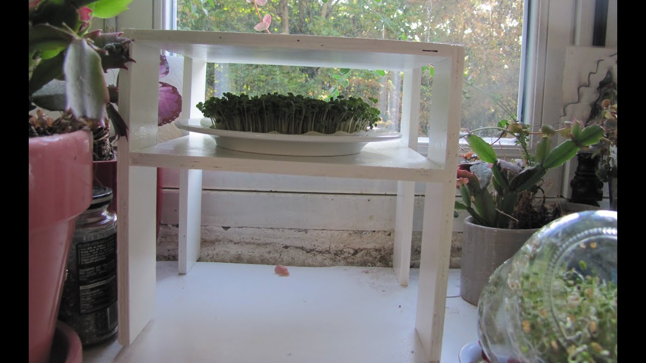 How to Make a DIY Sprouter - YouTube