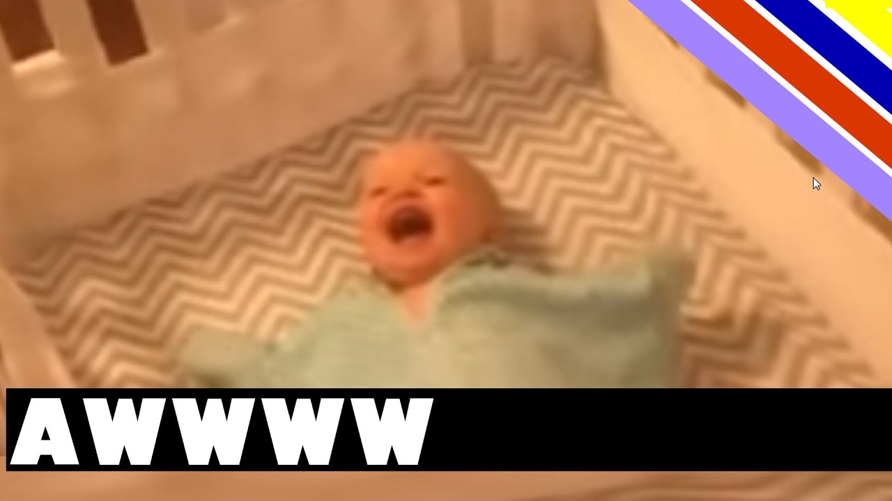 Kitty meets ecstatic baby!! - Priceless! - YouTube