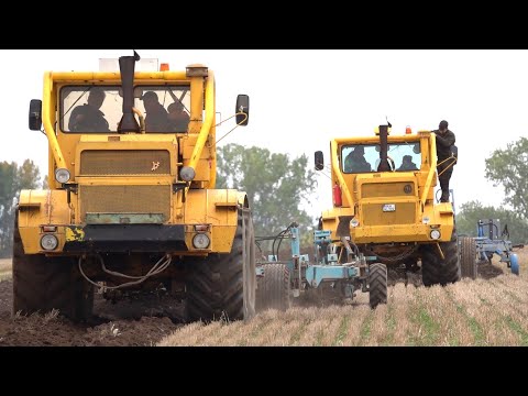 2x Kirovets K-700A beim Pflügen- Winningen 2025