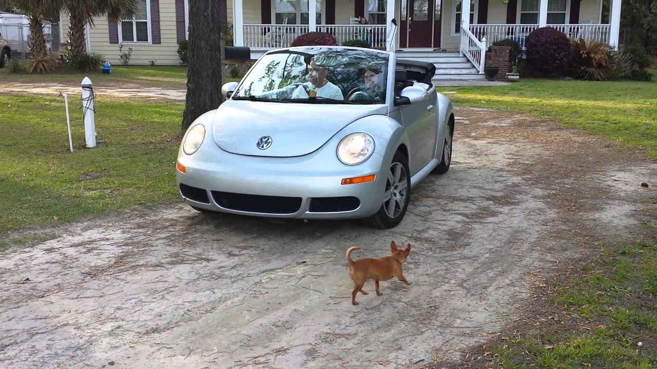 Jenny driving part 2 - YouTube