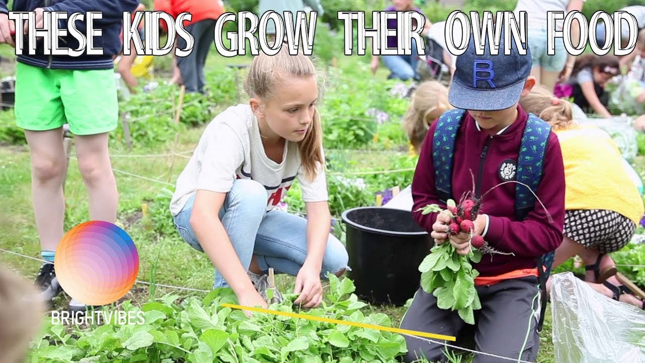 At this Dutch school children are taught how to grow their own food and ...