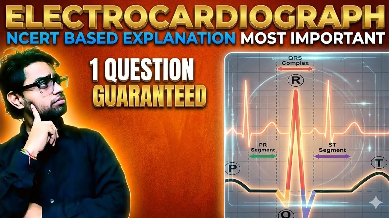 Human circulatory system|| Electrocardiogram|| NCERT based explanation ...