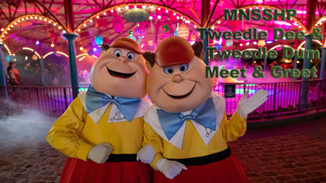 8K MNSSHP Tweedle Dee & Tweedle Dum Meet & Greet in Magic Kingdom VR180 ...
