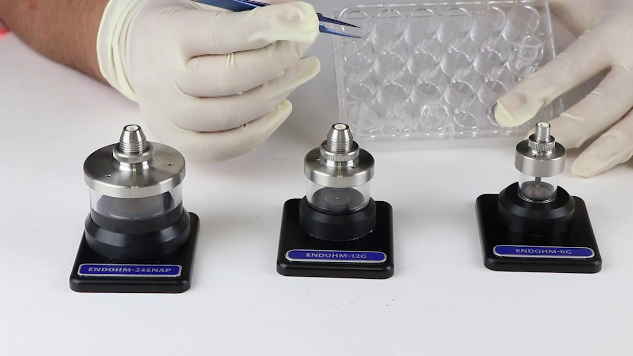 What's the Difference between Hanging and Standing Cell Culture Inserts ...