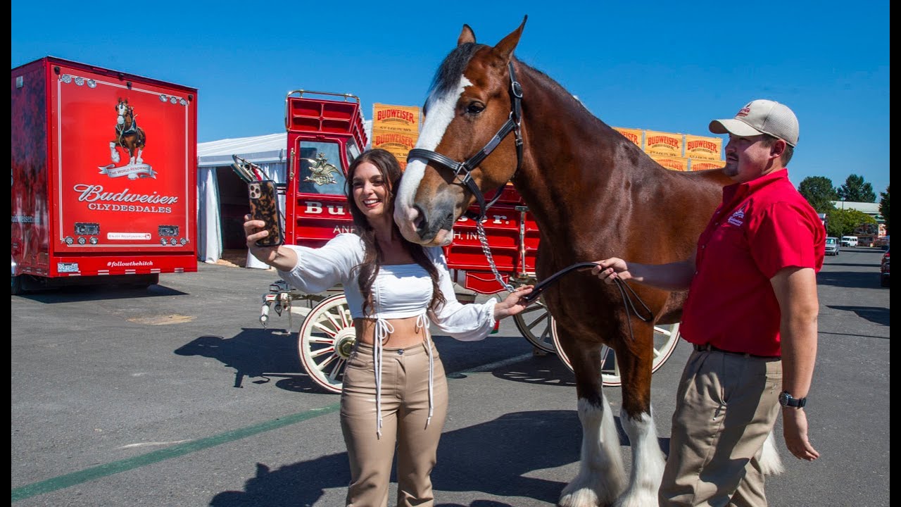 Five Things To See At The Washington State Fair - YouTube