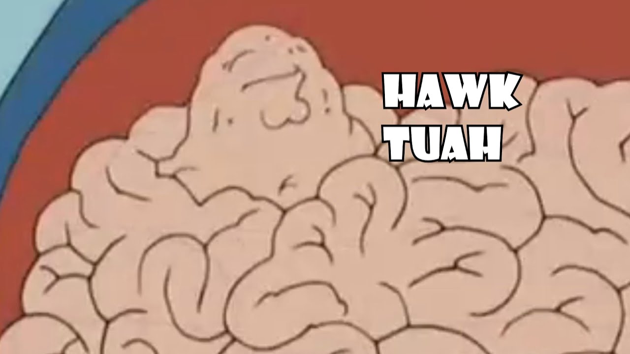 Hawk tuah meme coin invest in that thing - YouTube