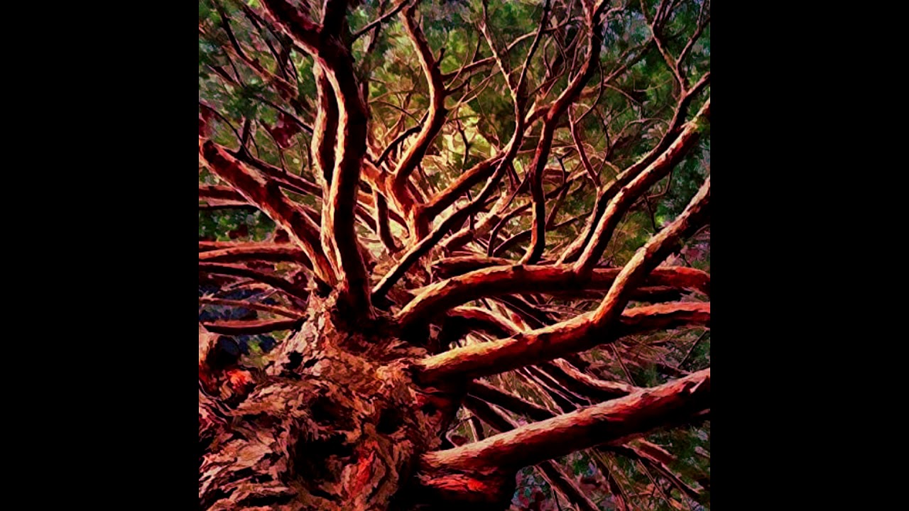 Pogo - Be The Trees (slowed & pitched down) - YouTube