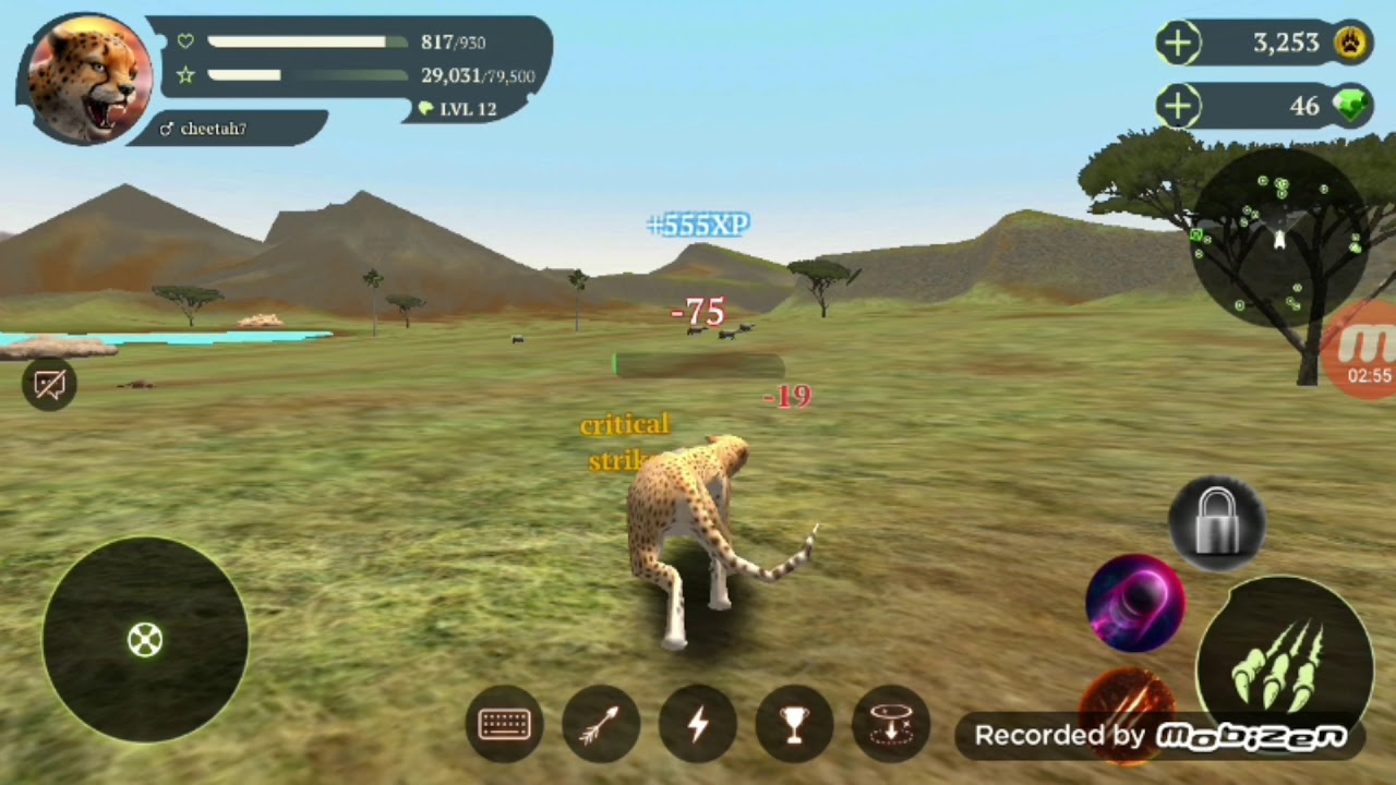 'The cheetah' game Hunting - YouTube