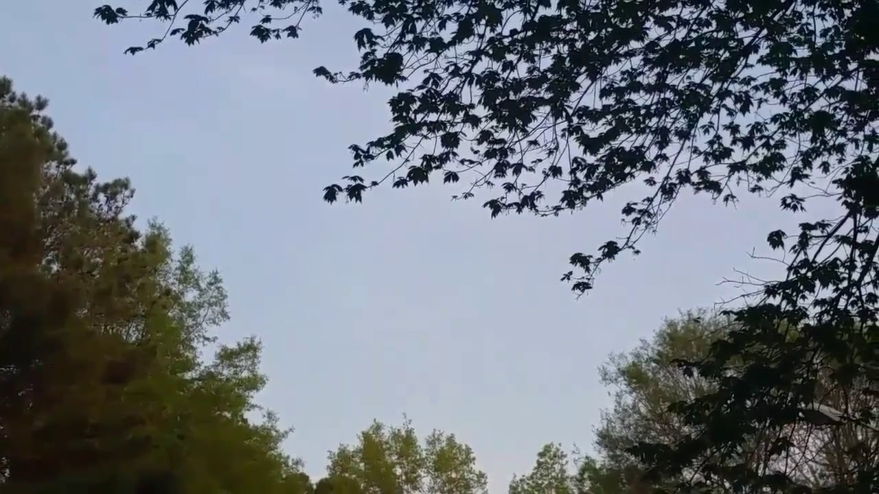 Unknown Apocalyptic Trumpet Noises Heard In The Sky 2017 - The Hum ...