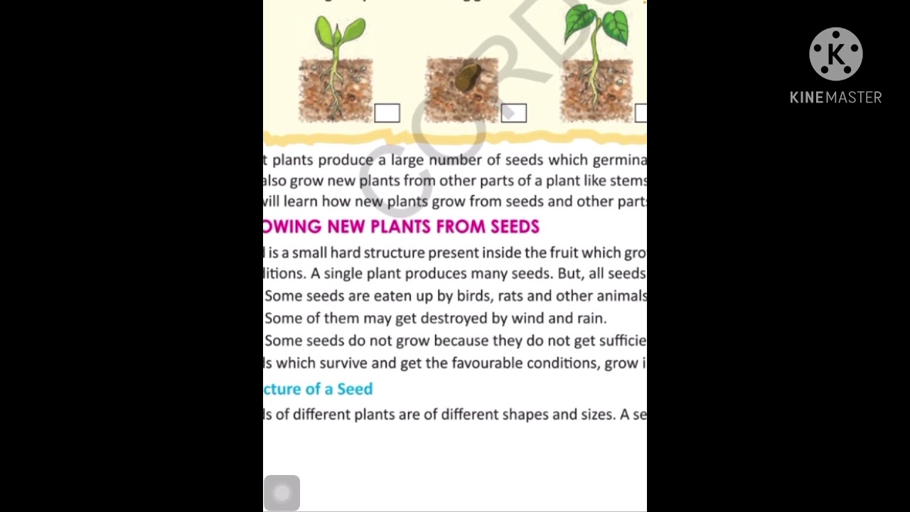 Class - 5 | Term - 1|Sunshine | Science | Lesson 1| Plants Growing In ...