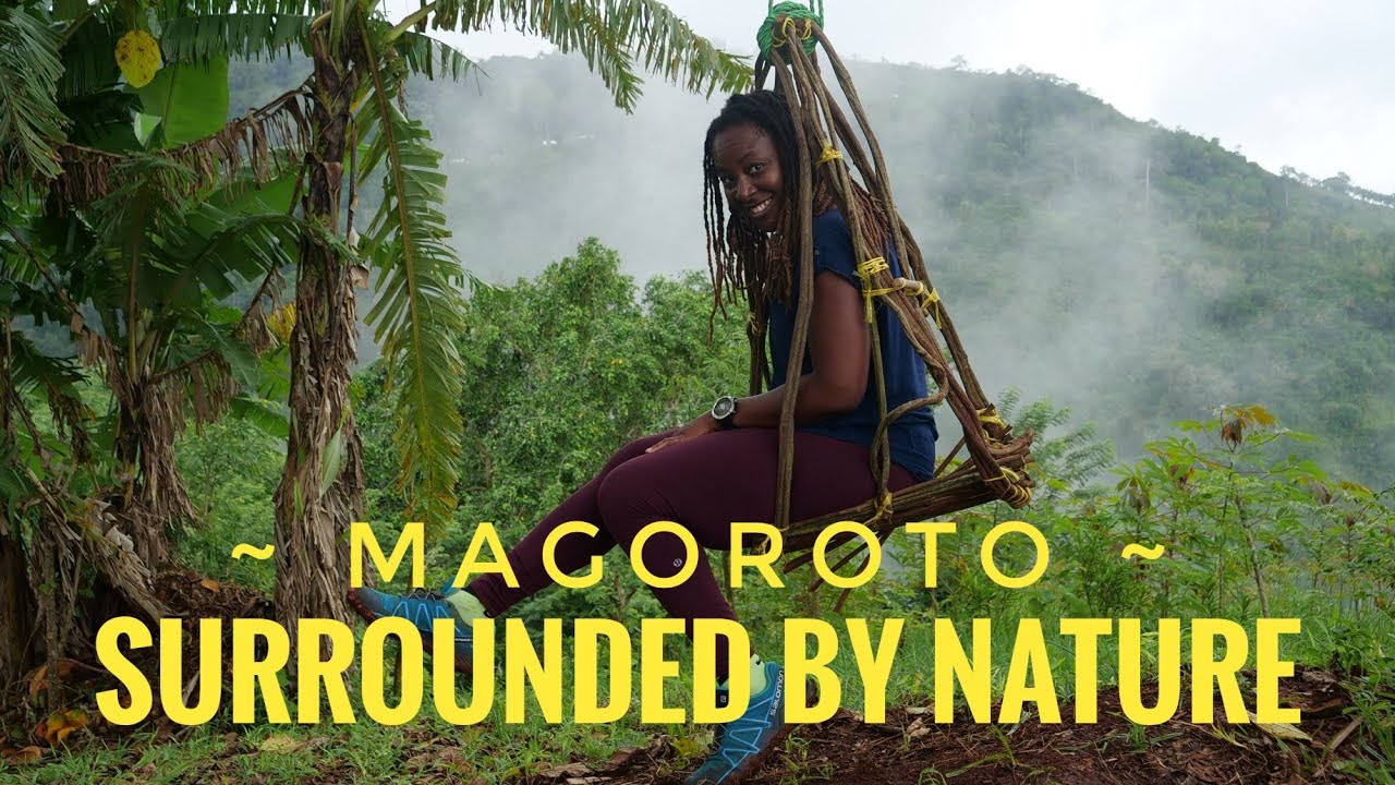 Tanzania | Surrounded by Nature -Magoroto Forest Estate - YouTube