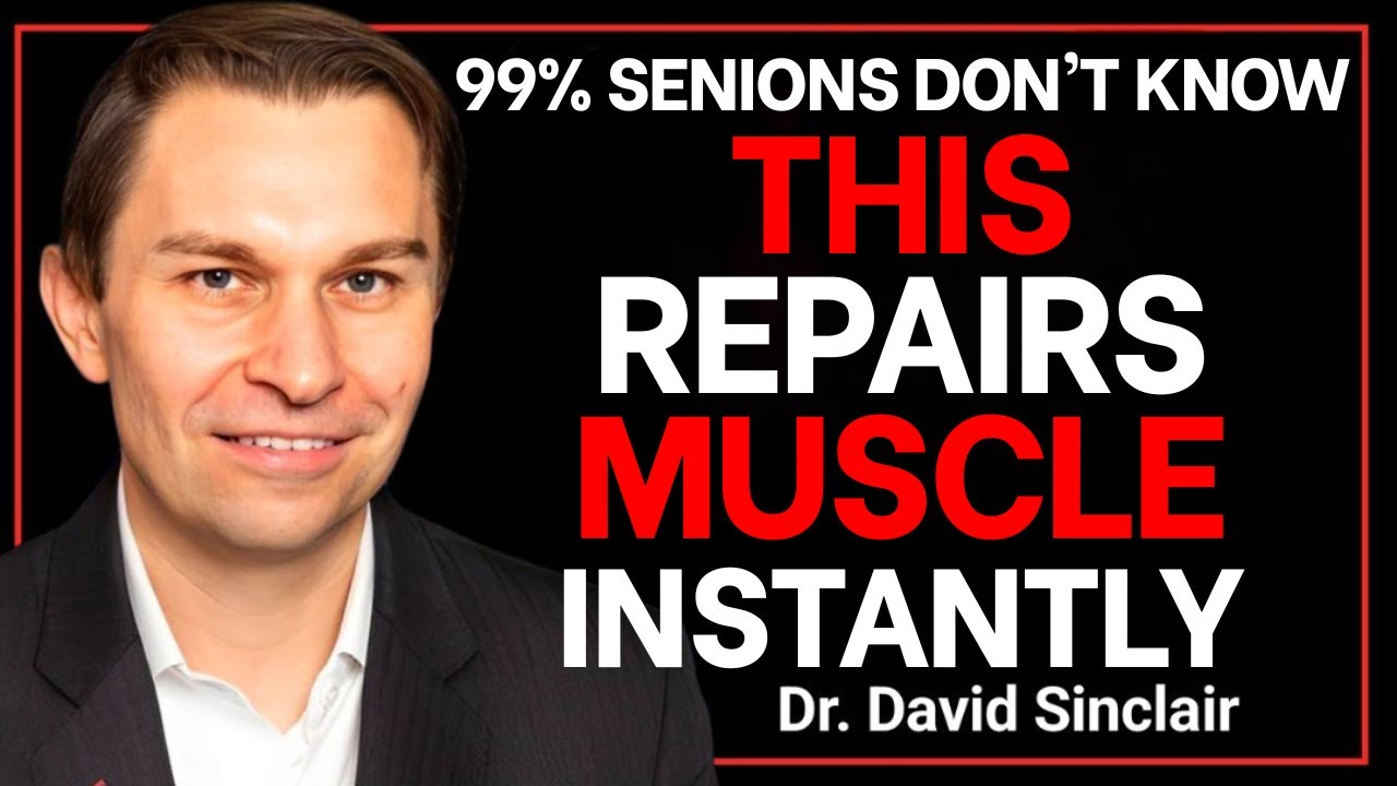 The One Natural Food That Builds Muscle FASTER Than Supplements || Dr. David Sinclair - YouTube