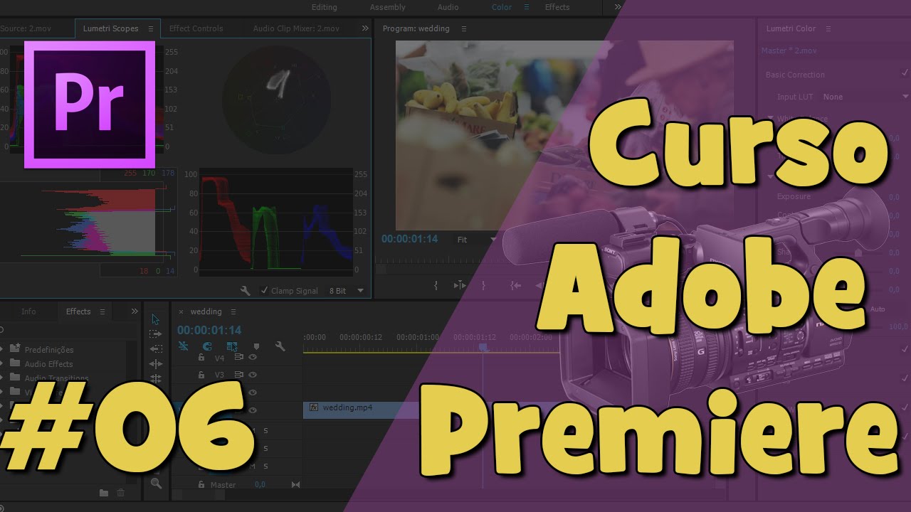 Curso Completo Adobe Premiere - Tutorial Vídeo Aula 06 (HD). - YouTube