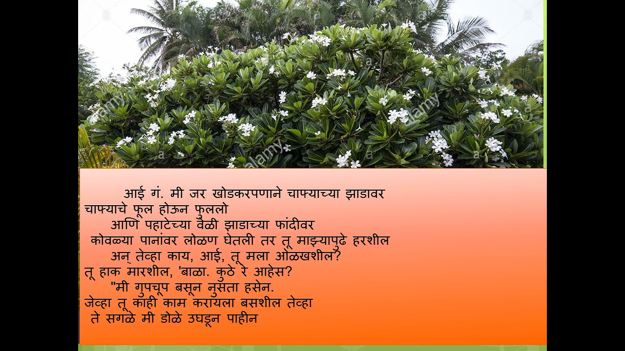 class 8th chapter 4 Lapandav poem marathi - YouTube