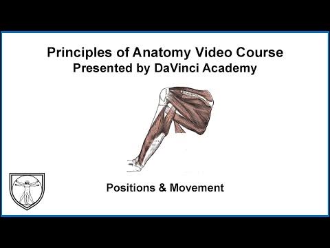 Anatomy Positions and Movements [Basics of Anatomy 1 of 5] - YouTube