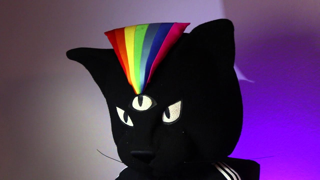 BlackCat adjusts to life after tour - YouTube