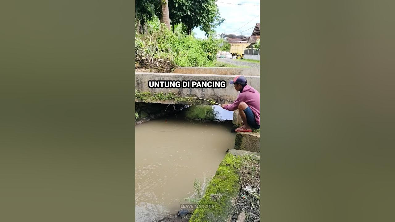 mancing di gorong gorong pinggir jalan - YouTube