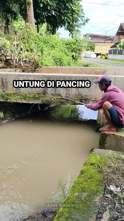 mancing di gorong gorong pinggir jalan - YouTube