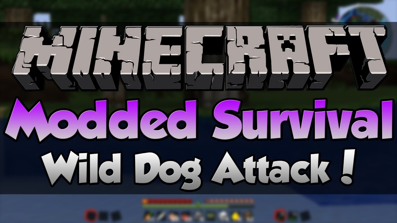 WILD DOG ATTACK! [Minecraft Modded Survival #2] [HD] - YouTube
