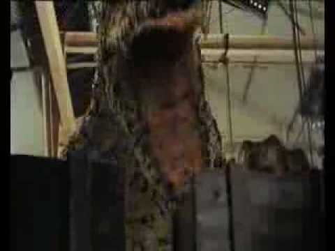 Primeval Season 3 Trailer - YouTube