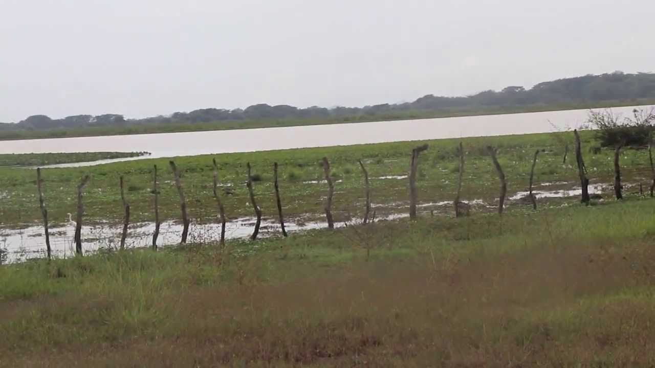 La ciénaga de las macanas - YouTube