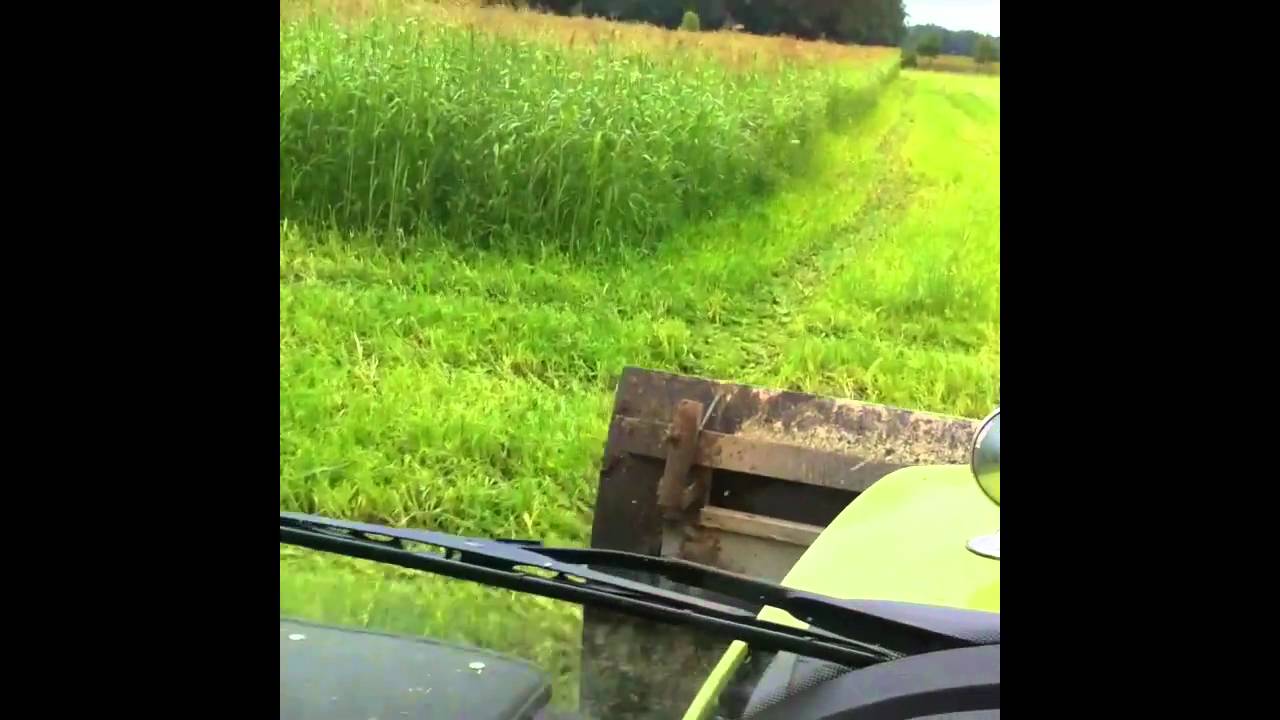 IMG 1222 YouTube img-1222-youtube