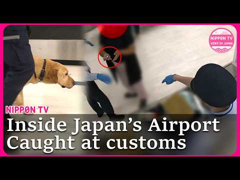 Inside Japan's airport customs: Stopping counterfeit goods and smuggling