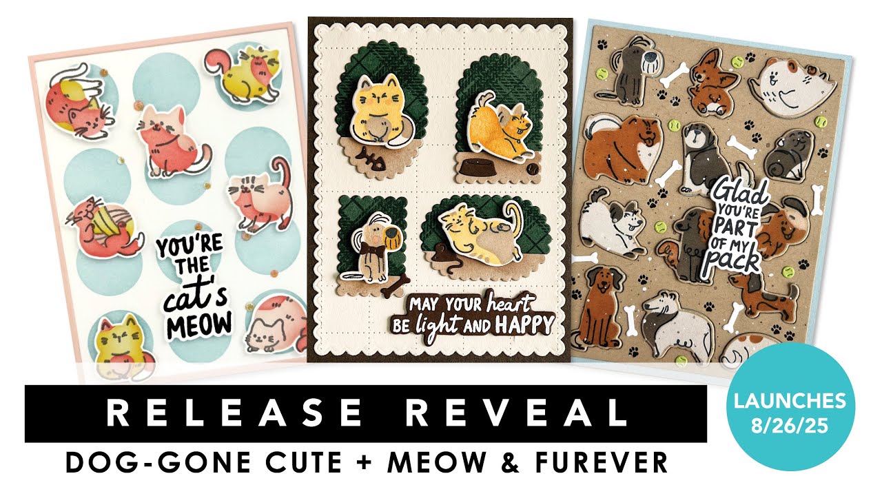 Release Reveal: Dog-Gone Cute & Meow & Furever Cardmaking Kits - YouTube