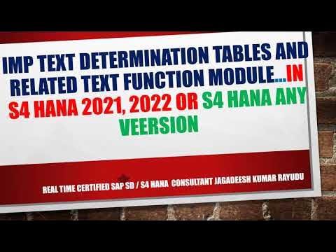 IMP text determination tables and related text function module IN S4 HANA SAP SD 2021, 2022 ...