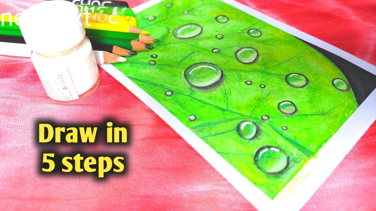 DRAW WATER DROPLETS ON A LEAF || IN JUST 5 SIMPLE STEPS || JUST TRY ...