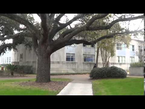 University of Houston Fleming Building - YouTube