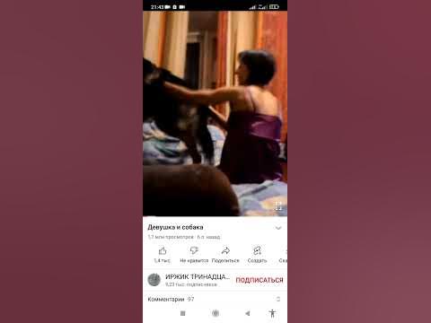 порно с собакой - YouTube