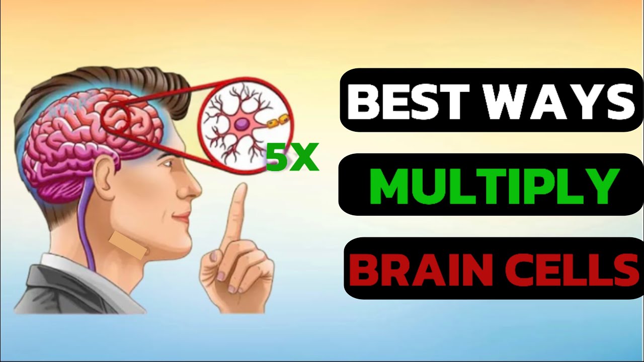 The BEST Ways To MULTIPLY Brain Cells & Boost Memory FAST - YouTube