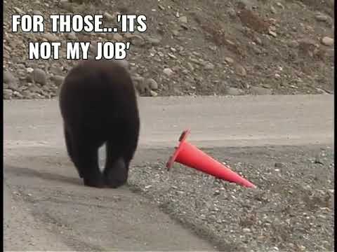 ITS NOT MY JOB: KNOW YOUR DUTIES - YouTube