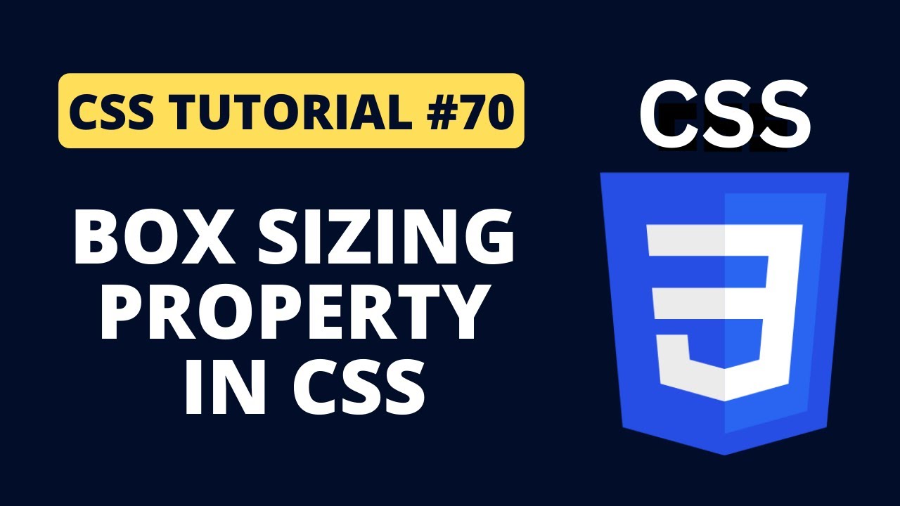 Css Tutorial 70 Box Sizing Property In Css Programming For 9625