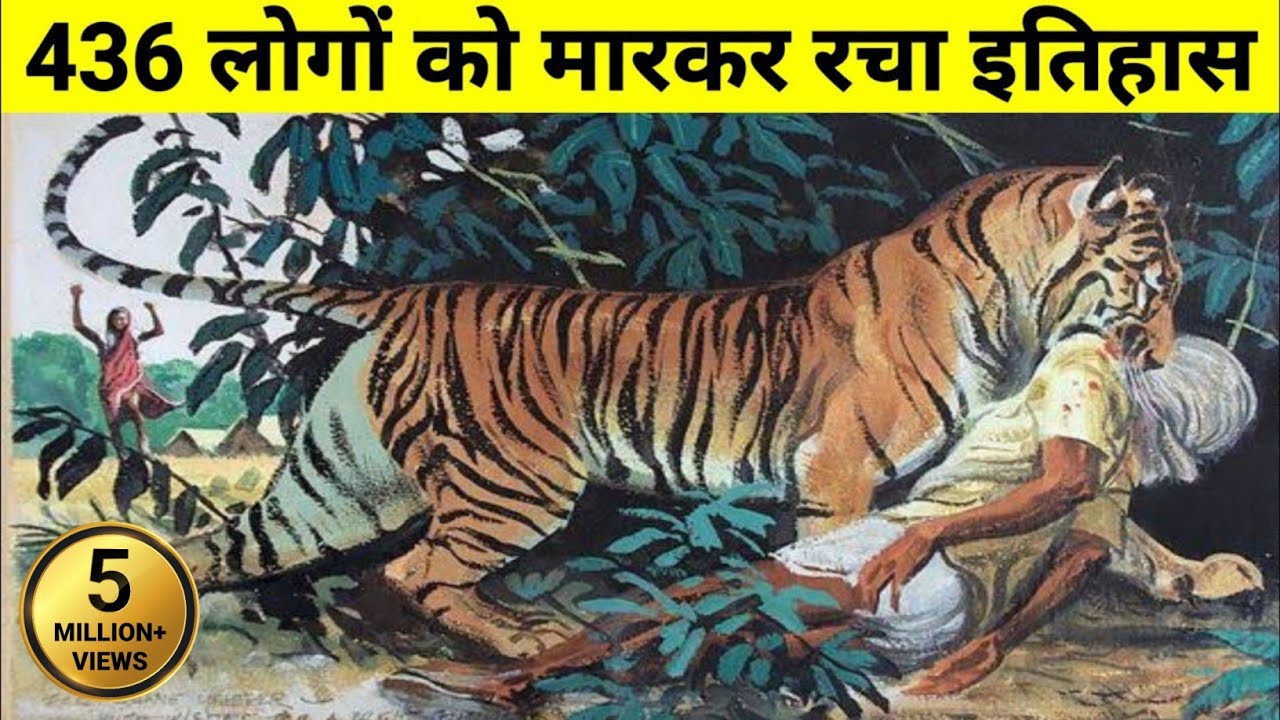 The World Most Man-eating Tigress || इस एक अकेलि बाघिन ने मारे थे 436 ...