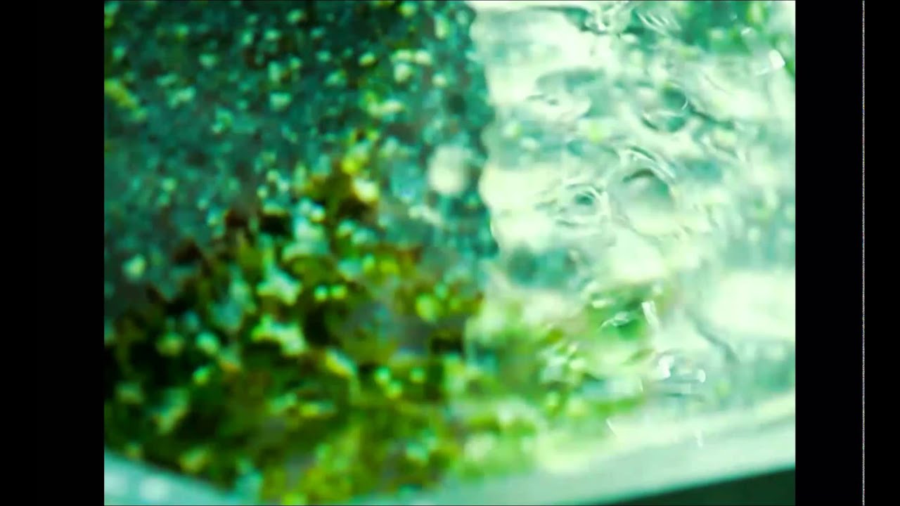 visible wind - YouTube