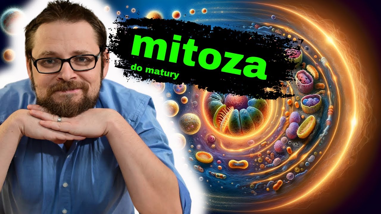 Cykl komórkowy | Mitoza | Podział komórki | Interfaza | Fazy mitozy ...
