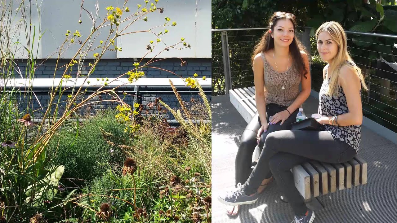 interview with 3 people than an interview with 2 people - YouTube