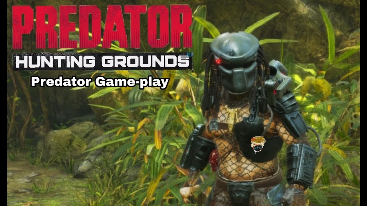 Jungle Hunter '87 Predator Game-play | Predator: Hunting Grounds (First ...