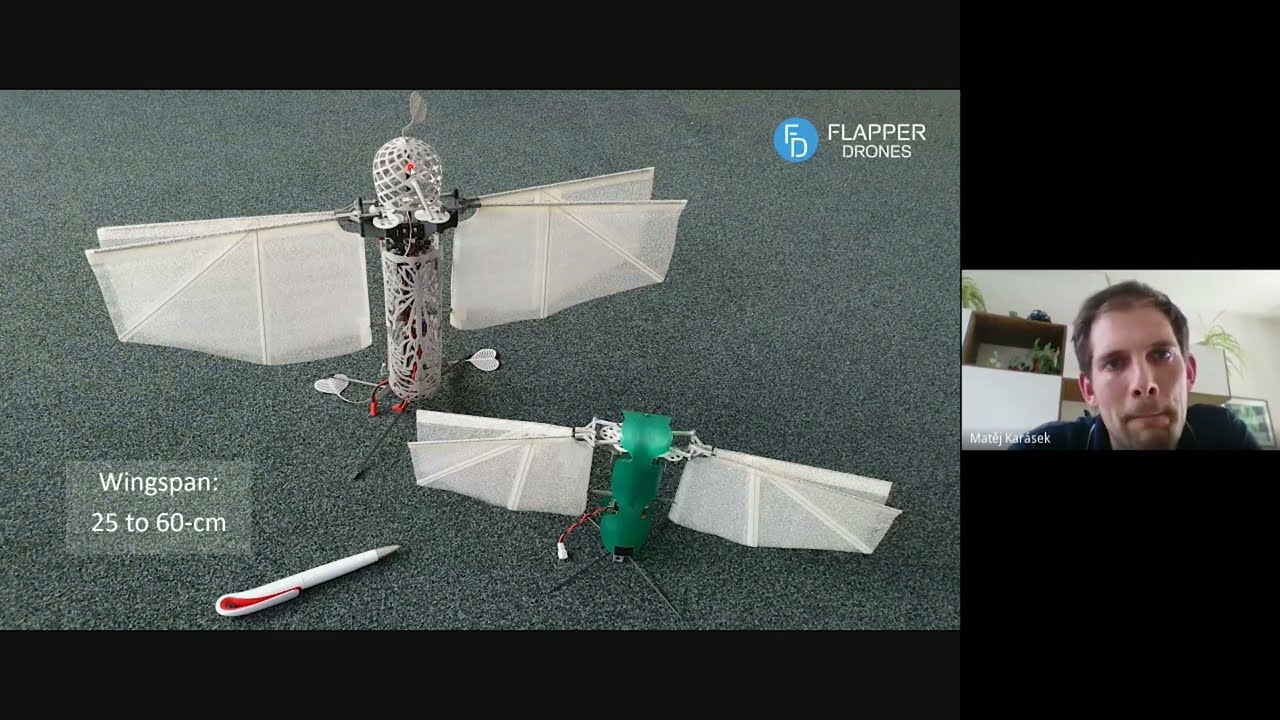 Mini BAM "Drones in the sky": Flapper Drones talk - YouTube