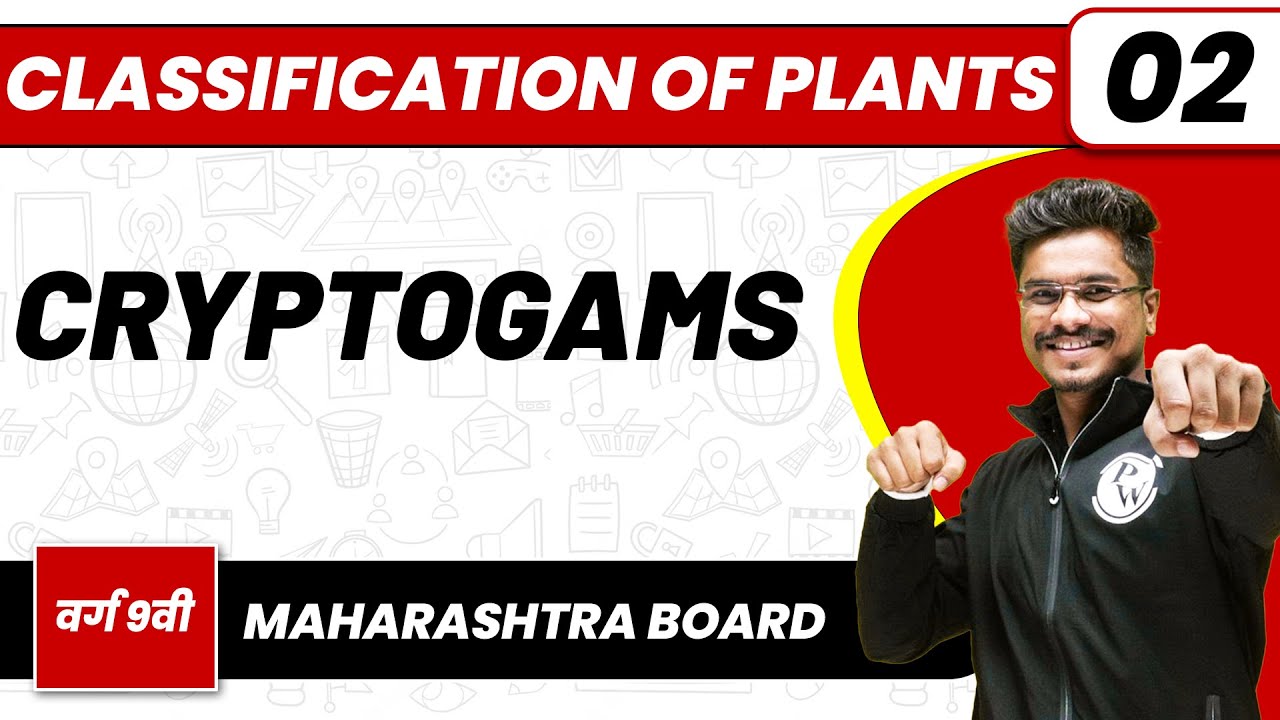 CLASSIFICATION OF PLANTS 02 | Cryptogams | Biology | Class 9th ...