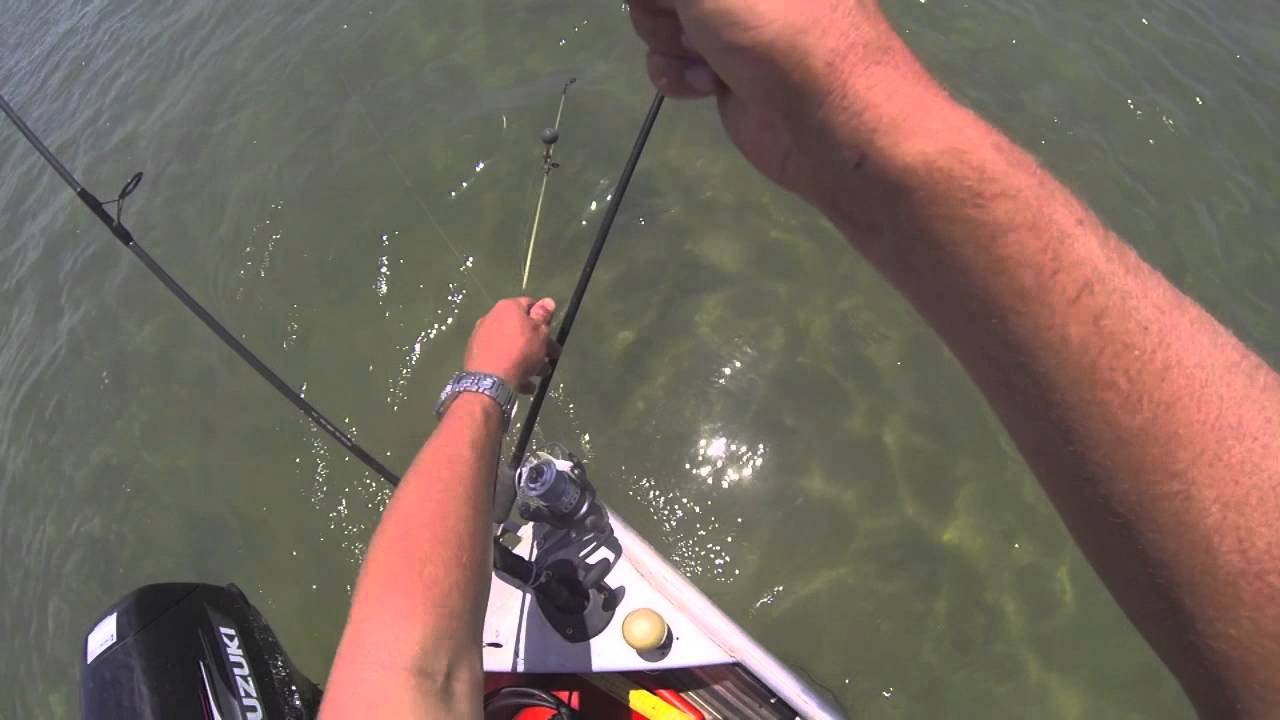 Maroochy River Fishing - YouTube