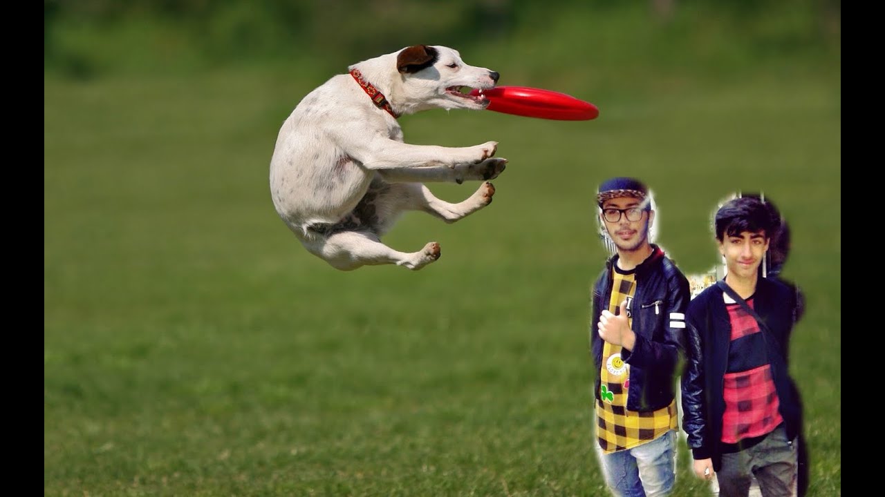 NON SO LANCIARE IL FRISBEE-Frisbee Challenge - YouTube