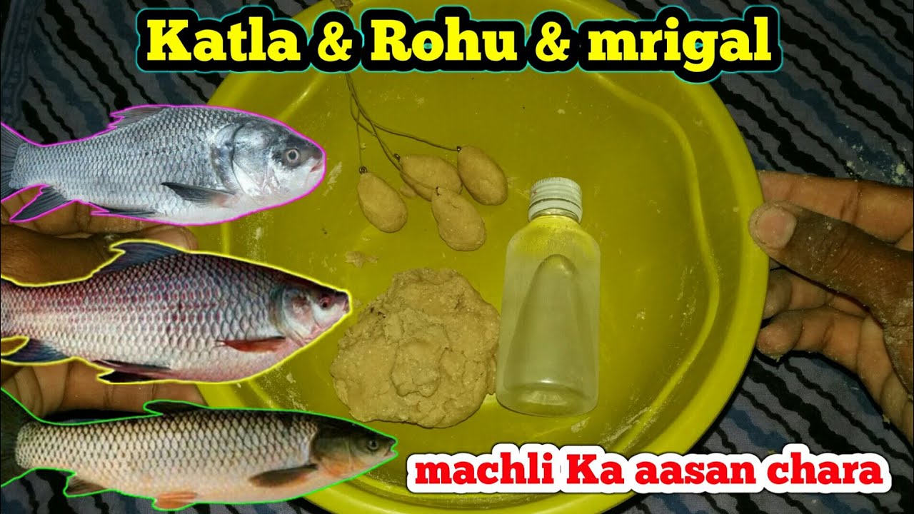 katla & Rohu & mirgal|| machli pakadna ka aasan chara|| machli Shikar ...