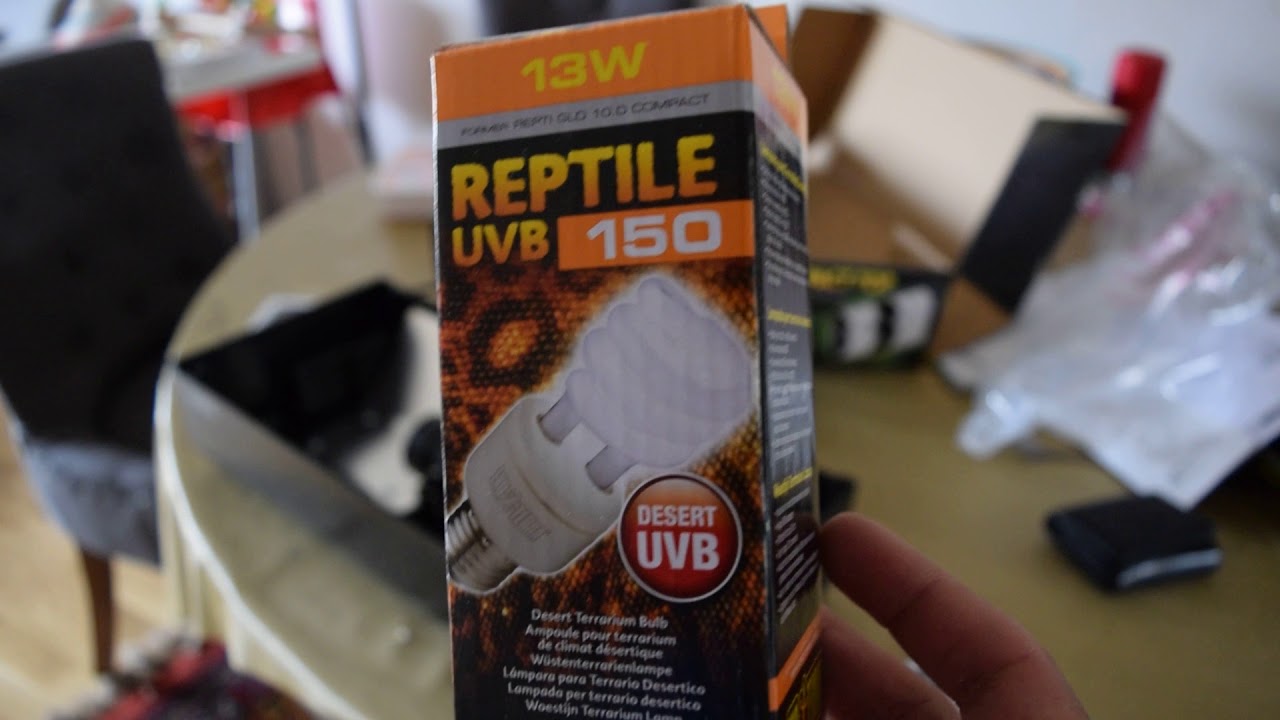 Terrarium set up for my bearded dragon new UV Lamp By Raffo Vlogg 3 ...