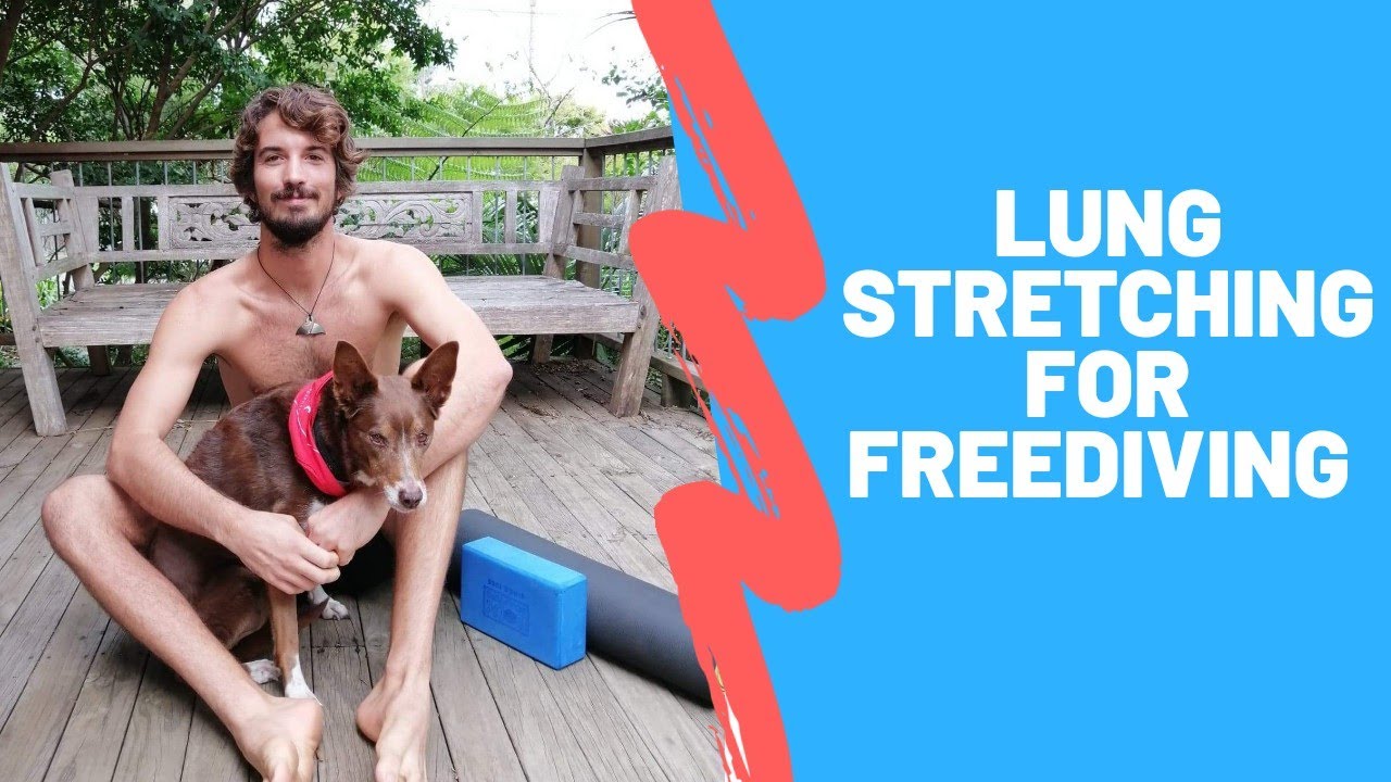 lung stretching exercises for freediving - YouTube