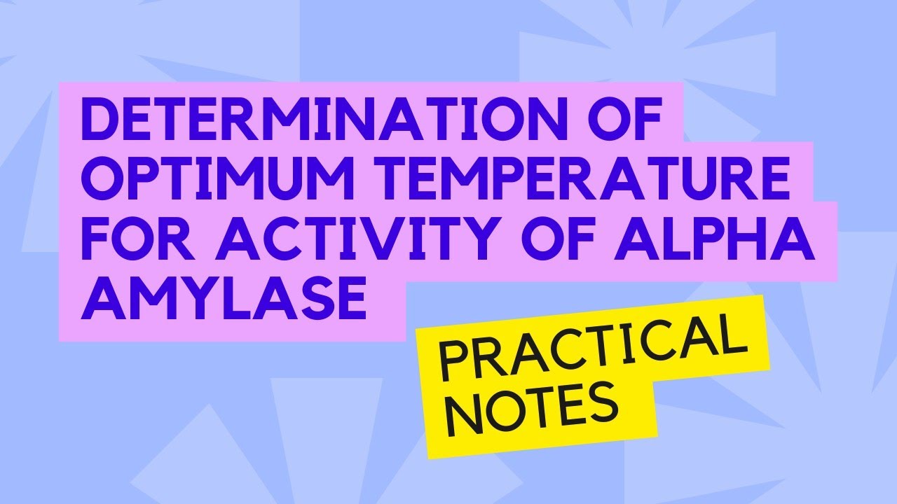 Measurements of Enzyme Activity of Alpha Amylase |Demonstration ...